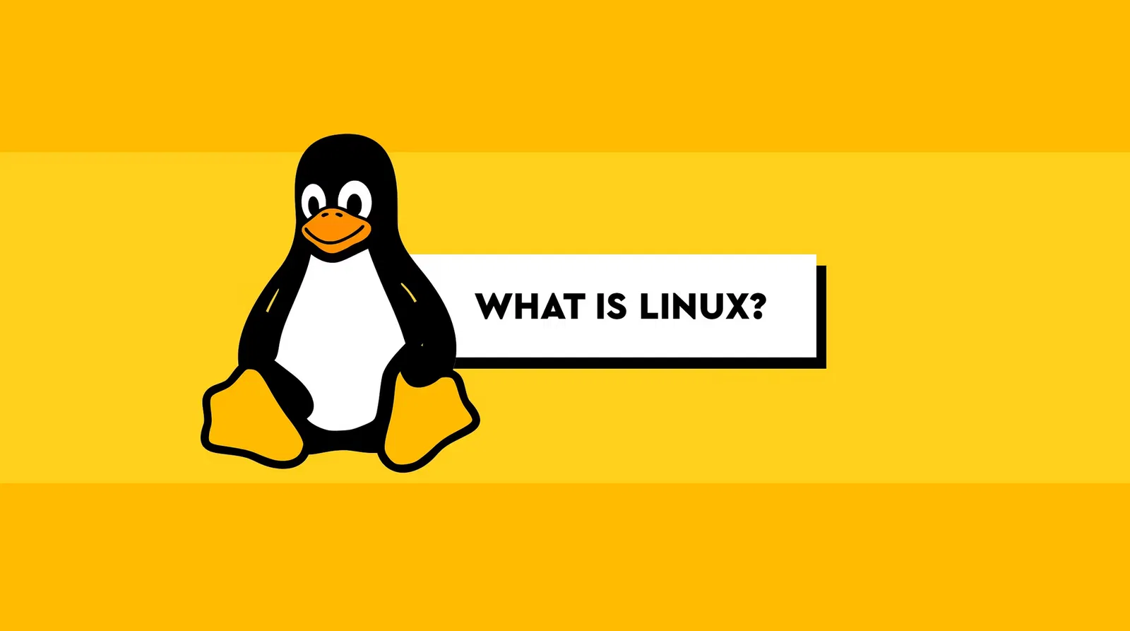 Linux Là Gì? Hiểu Về Hệ điều Hành Mã Nguồn Mở Và So Sánh Với Windows